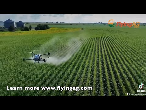 Why Add a FlyingAg DJI T40 Sprayer Drone to Your Farm in 2024? Farmer Insights on his decision.