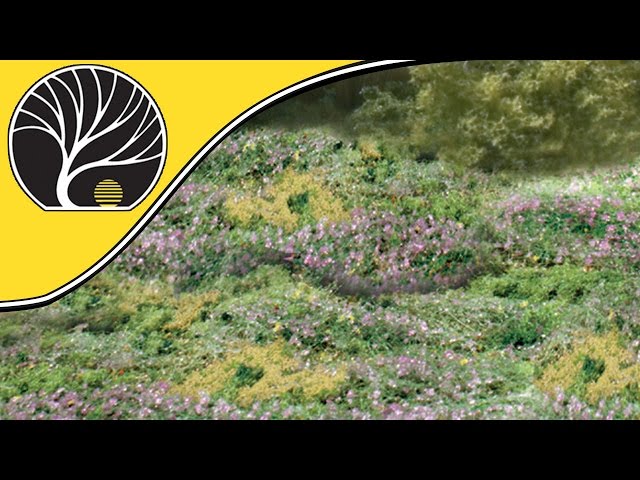 Building Landscape - Woodland Scenics