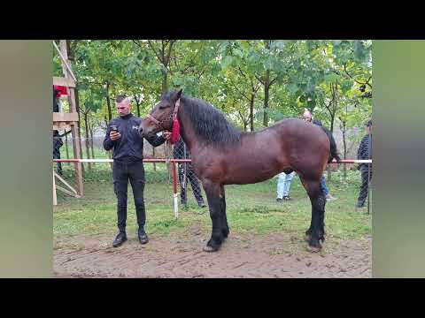 foto galerija štraparijade Izačić