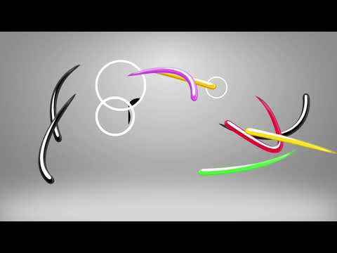 Fiverr Logo Animation #5
