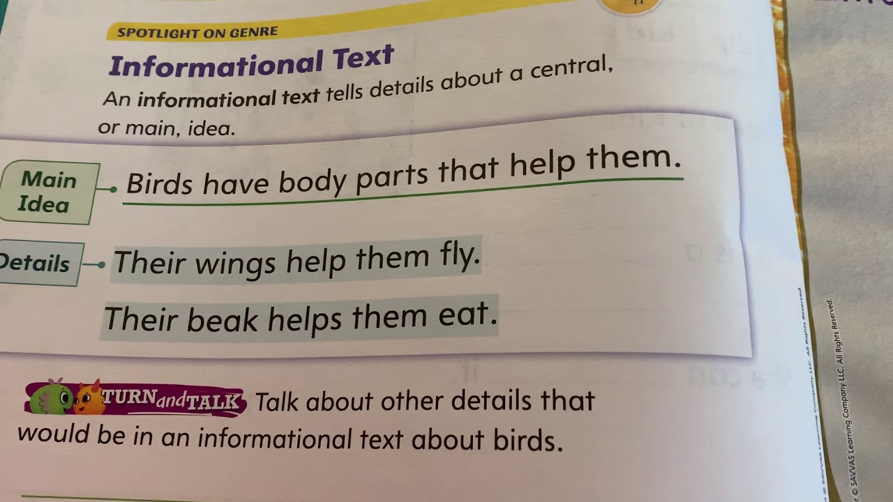 Informational text anchor chart