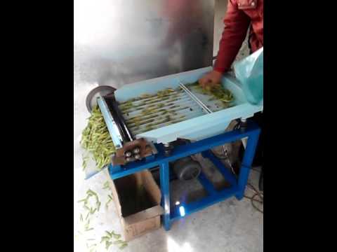 Pea Podder at Best Price in India