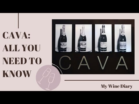Cava Wine: Essential Insights, History, and Tasting Tips for Enthusiasts!