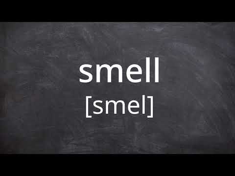 SMELL Pronunciation in American English