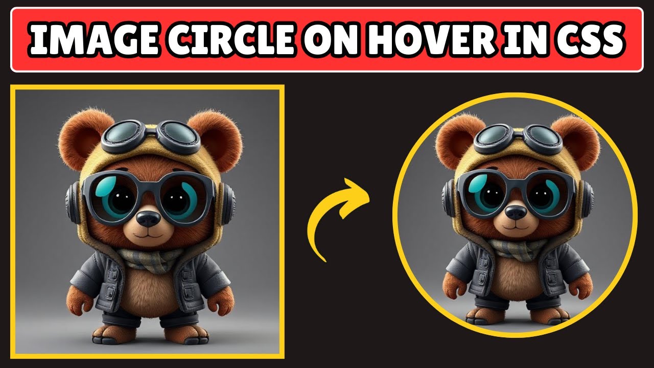 How to Change Image Shape to Circle on Hover in HTML and CSS