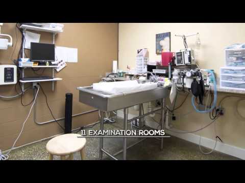 VCA Animal Hospital