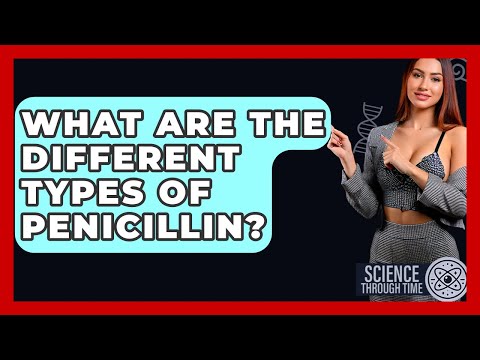 What Are The Different Types Of Penicillin? - Science Through Time