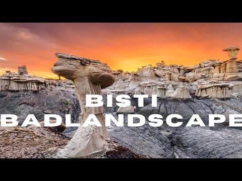 WHAT is in Bisti Badlands New Mexico