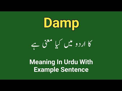 Damp meaning in urdu/hindi || Damp in a sentence || Damp ka matlab kia hota ha