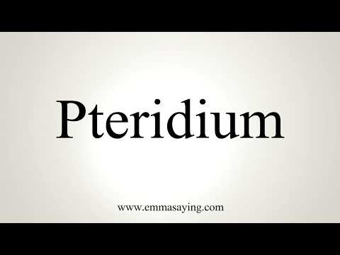 How To Pronounce Pteridium