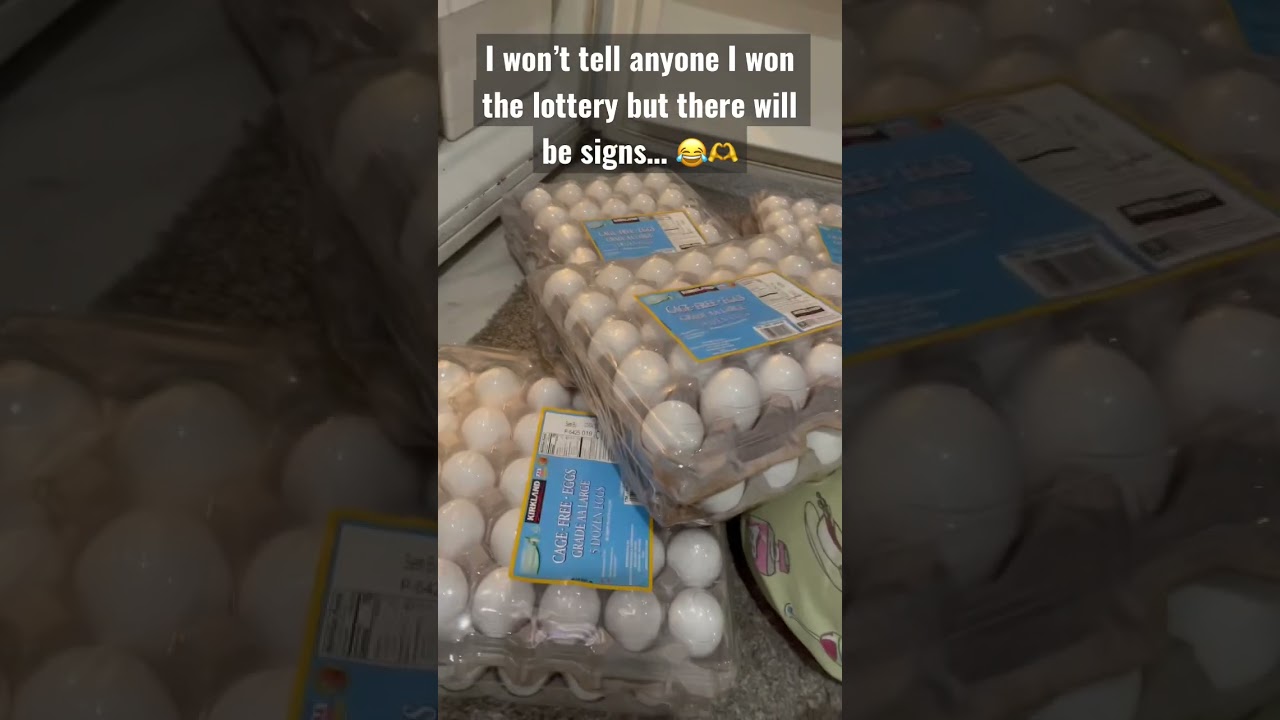 EGG LOTTERY MEME