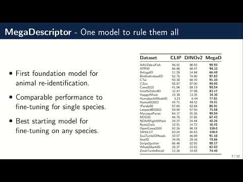 WildlifeDatasets: An Open-Source Toolkit for Animal Re-Identification