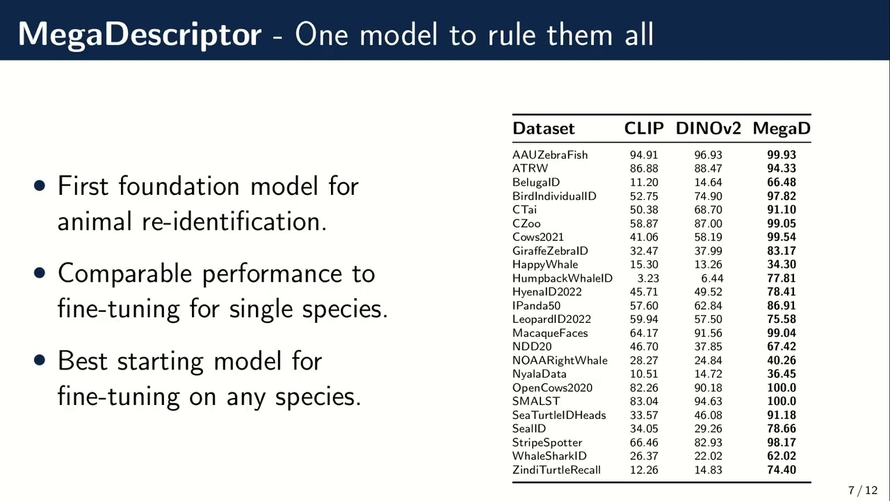 WildlifeDatasets: An Open-Source Toolkit for Animal Re-Identification