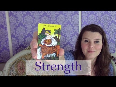 8 The Strength Tarot Card Meaning Upright & Reversed (Meaning of the Major Arcana Cards)