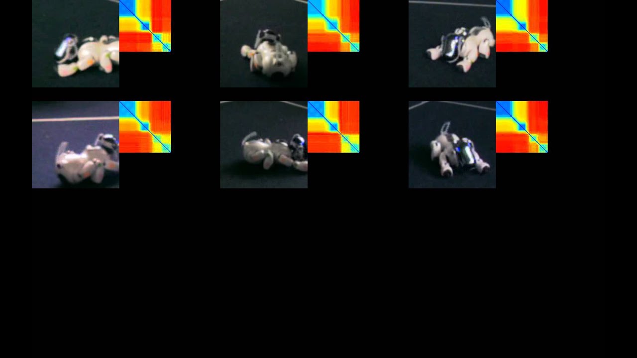 Temporal Self-Similarity Maps for Multi-View Action Recognition