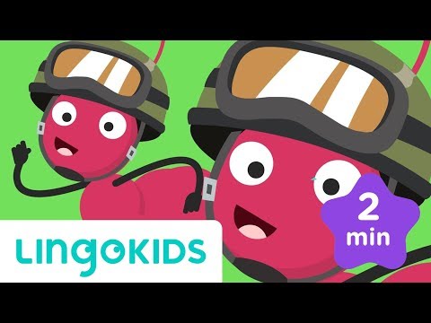 Animals in English - Lingokids