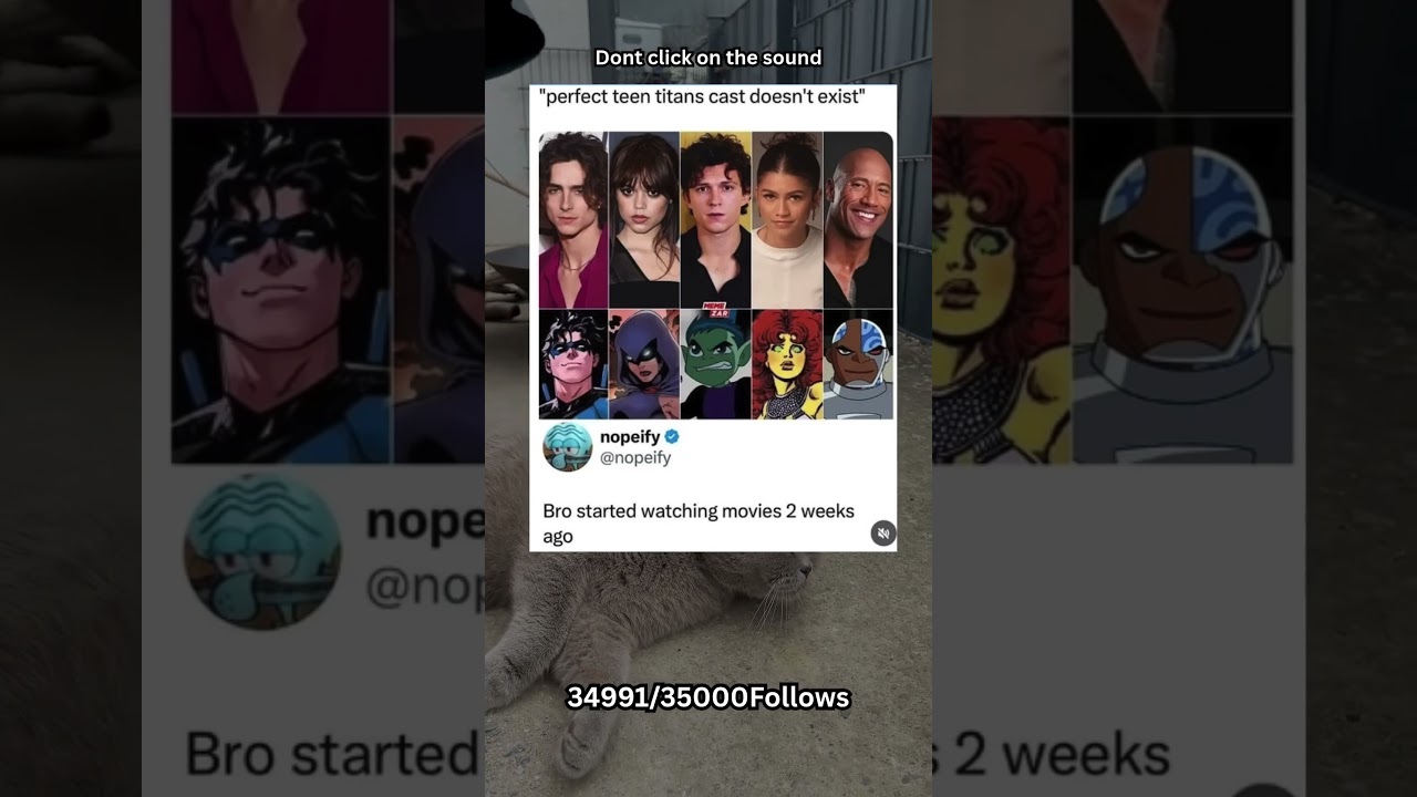 perfect teen titans cast doesnt exist