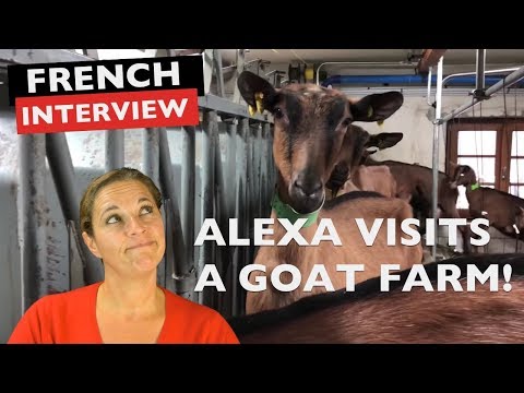 Alexa visits a French Goat Farm !
