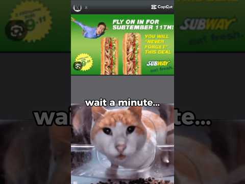 wait a minute #lol #xd #meme #cat #2025 #eat #food #joke #subway