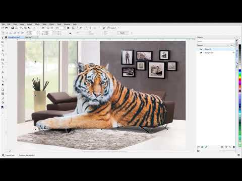 Photo Background Removal in PHOTO-PAINT (Windows)