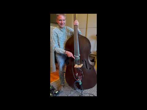 Biesele - Upright Bass Pickup and Two Channel Preamp | Reverb Canada