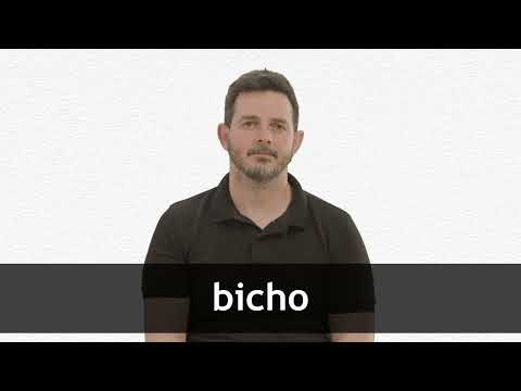 English Translation of “BICHO” | Collins Spanish-English Dictionary
