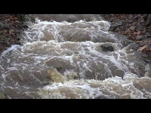 C0093 - Flowing Creek, Oakmont, Santa Rosa, California after 11" of rain in a day