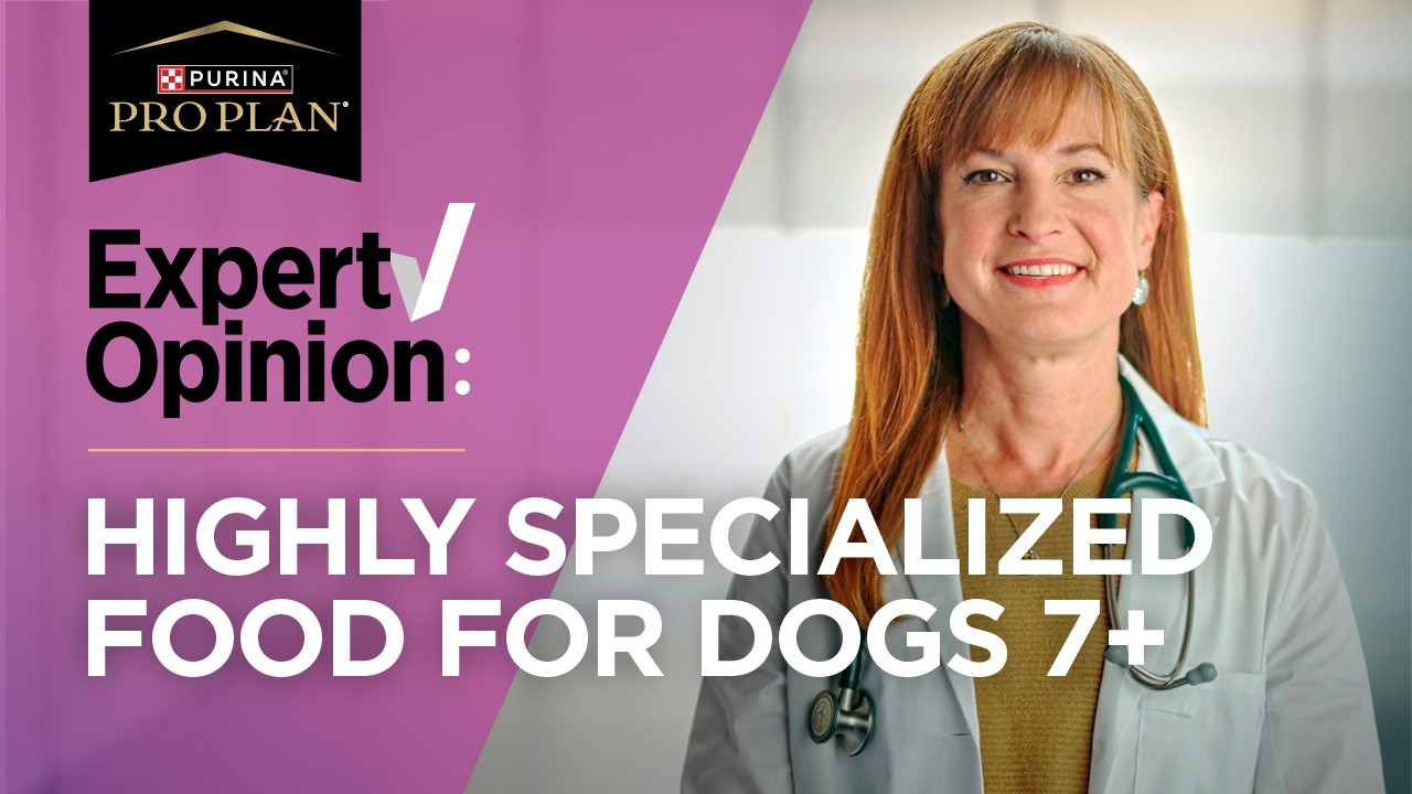 Vet Reviews - Pro Plan AdvantEDGE Senior Support+ Dog Food