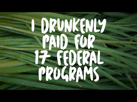 I Drunkenly Paid For 17 Federal Programs