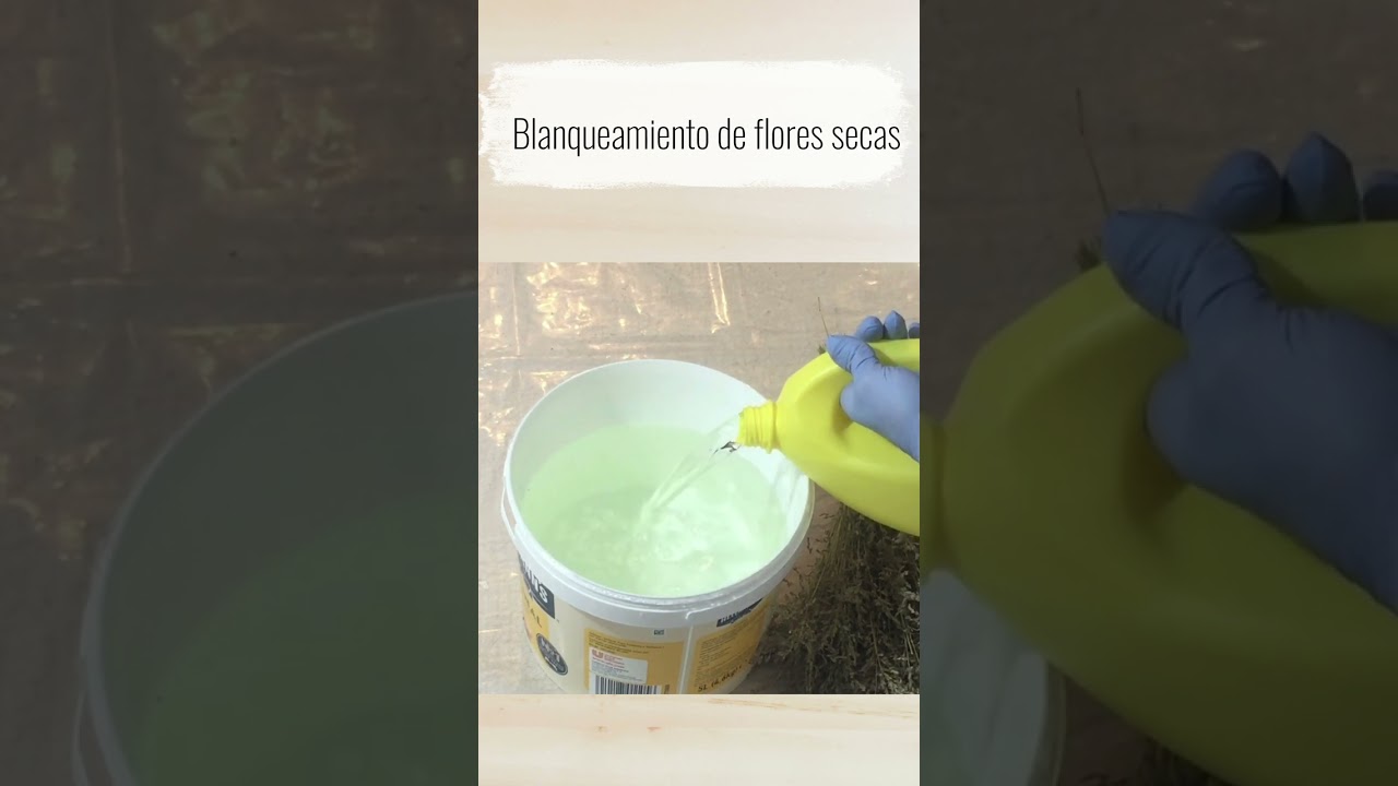 Cómo blanquear flores secas para crear arreglos florales duraderos: Tutorial paso a paso #shorts