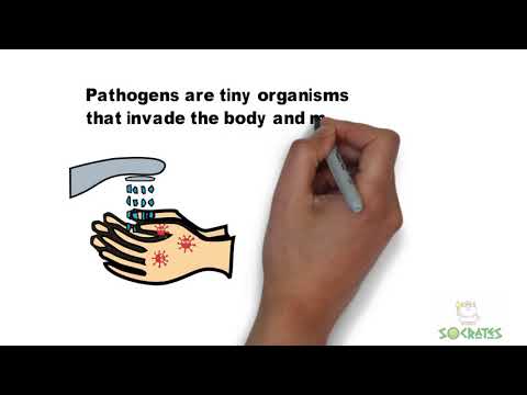 What is a Disease?