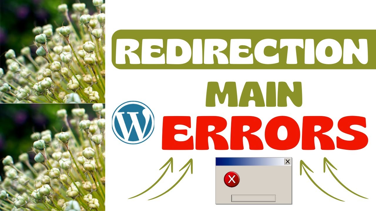 Plugin with ERRORS? Redirection showing errors learn how to solve | WordPress Plugin Errors