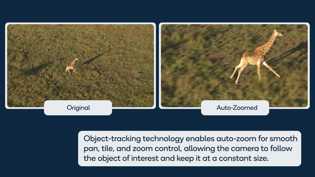 Semantic object tracking