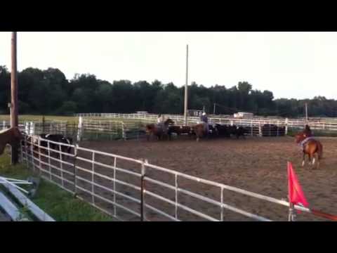 Brandi @ D & D Stables August 2011