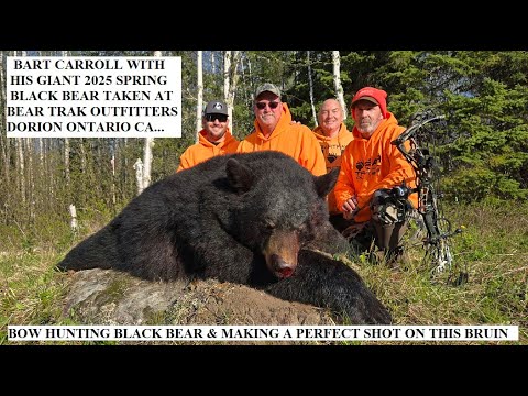 ARCHERY BLACK BEAR PERFECT SHOT BY Bart Carroll on 2025 Bear Trak Outfitters hunt in ONTARIO CANADA!