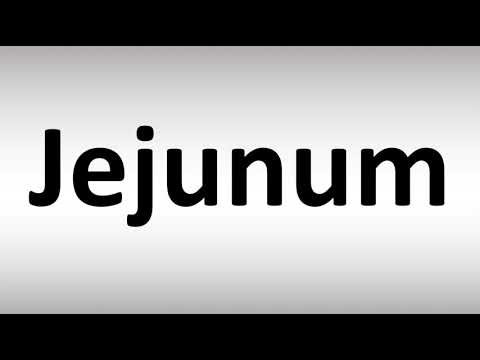 How to Pronounce Jejunum