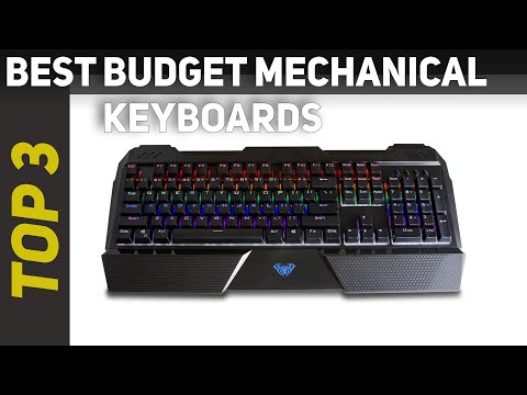 ✅ Best Budget Mechanical Keyboards 2023 - Top 3 Budget Mechanical Keyboards