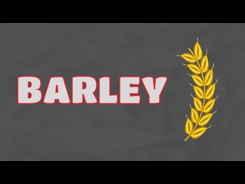What Does Barley Means || Meanings And Definitions With Example in ENGLISH