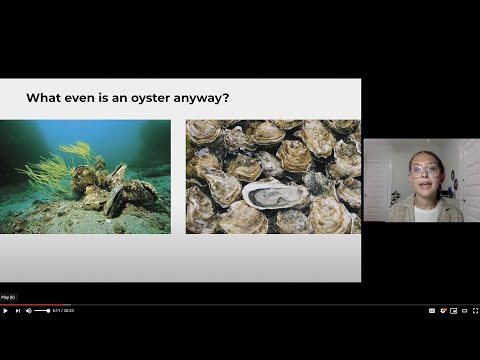 Summer on the Half Shell: Oysters from Seed to Slurp
