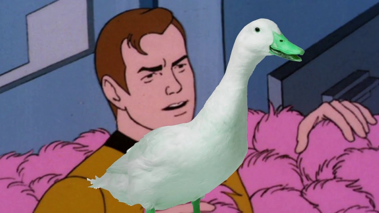duck.mp4 (improved)