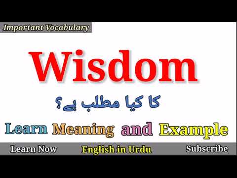 Wisdom Meaning in Urdu