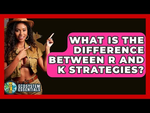 What Is The Difference Between R And K Strategies? - Ecosystem Essentials