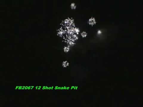 FB2067 12 Shot Snake Pit