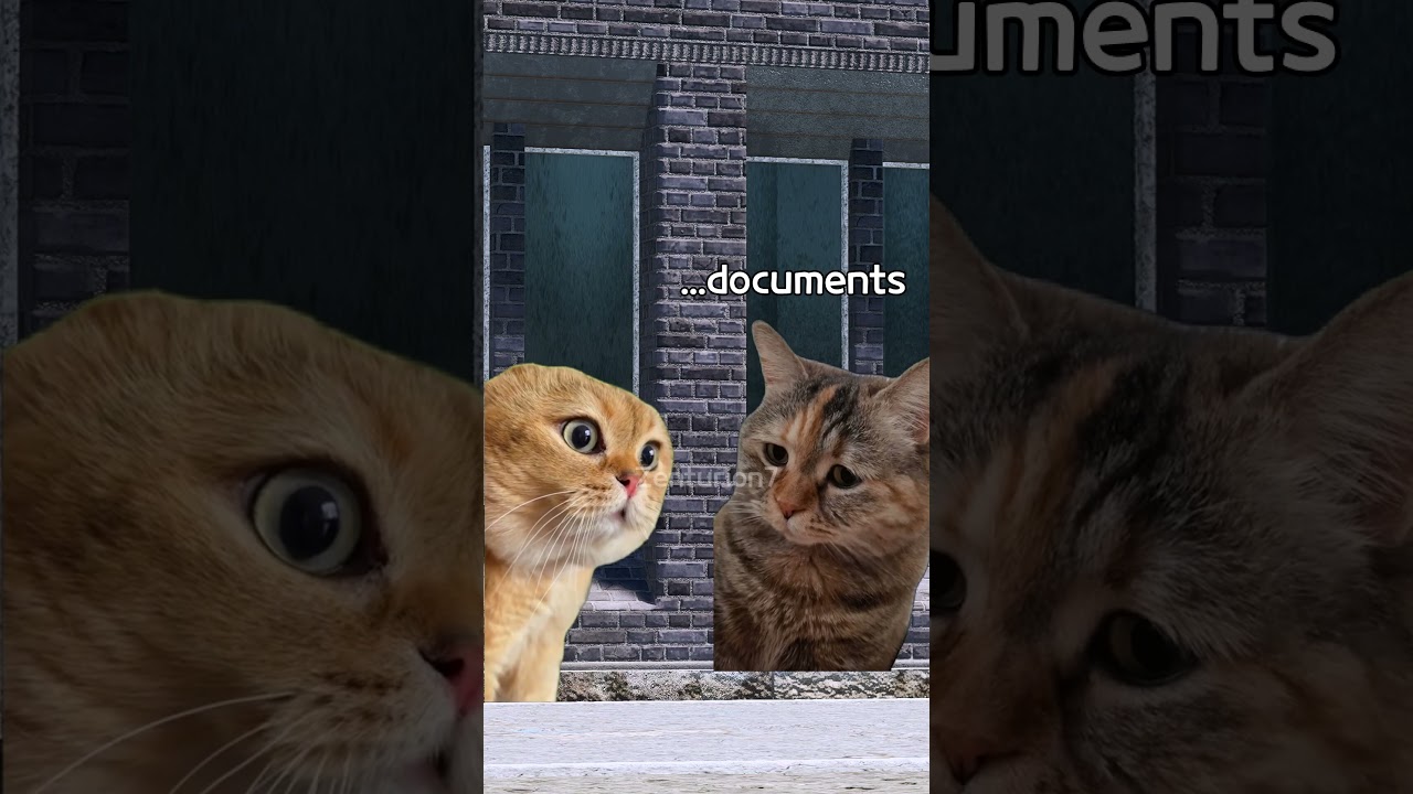 A Day in Gaijin Entertainment...