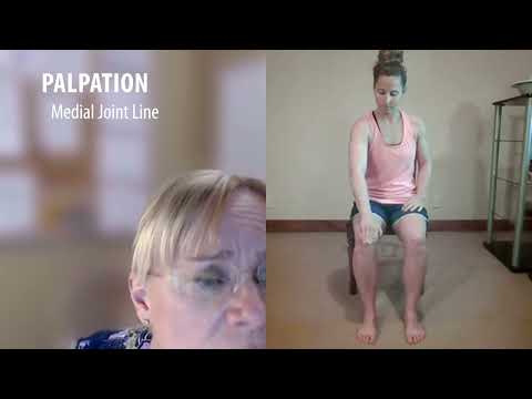 Virtual Knee Examination
