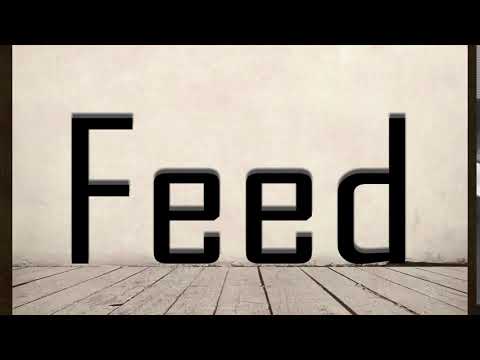 How to Pronounce Feed