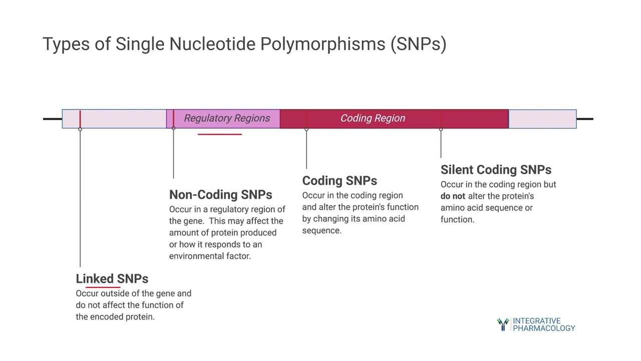 Genetic Polymorphisms
