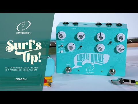 Crazy Tube Circuits White Whale V2 | Reverb