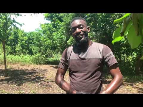 What is a Spading fork and How to plough the land using a Spading Fork?