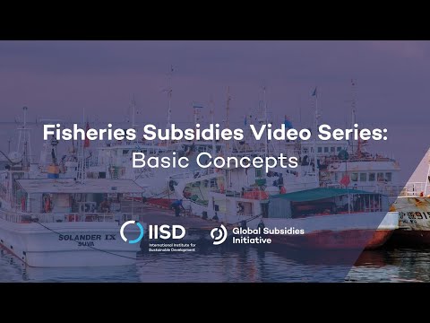 Webinar | Fisheries Subsidies Video Series: Basic Concepts
